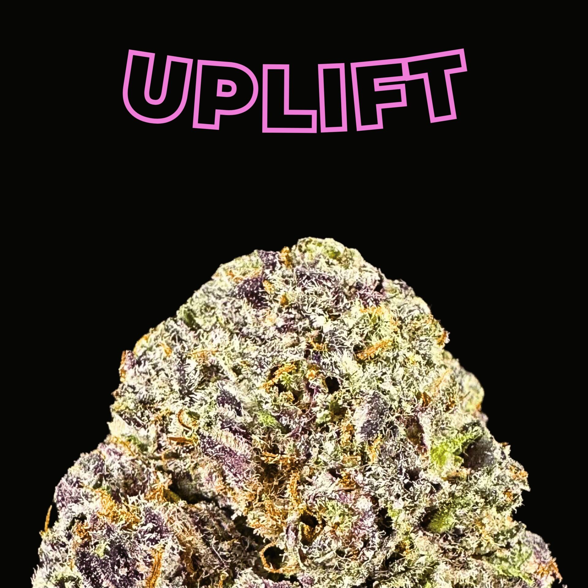 “Cookie Runtz” THCa Flower - High-Fidelity Co.